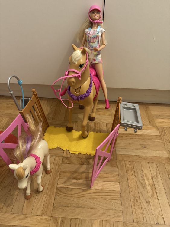 Barbie et son cheval : Aventures équestres garanties! (Neuf (Voir ...