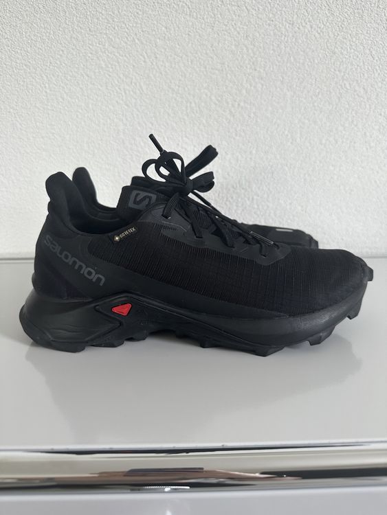SALOMON - Alphacross 3 Gore Tex - 40 (Gebraucht) in Frick für CHF 35 ...