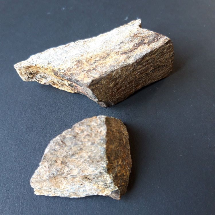 versteinerter Dinosaurier-Knochen Fossil | Kaufen auf Ricardo