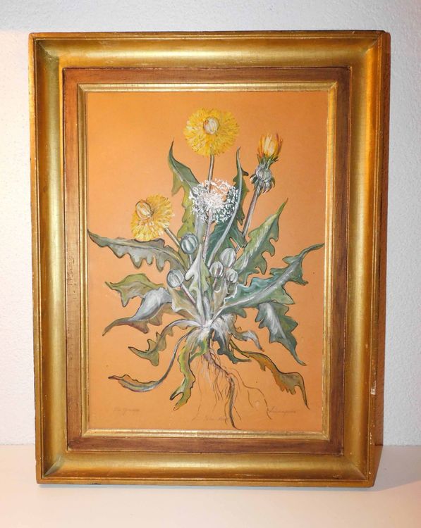 Neue Fundschätze Aquarell Löwenzahn signiert 50 x 38 cm (Gebraucht) in Sursee für CHF 45 – nur ...