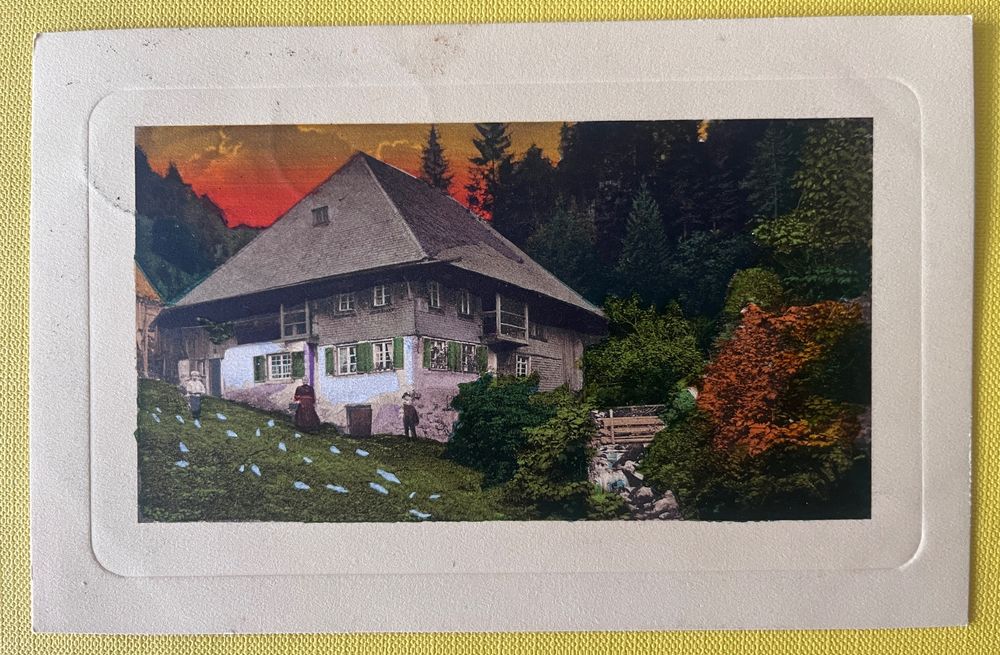 AK Haus in der Natur (Gebraucht) in Biberist für CHF 1 – mit Lieferung ...