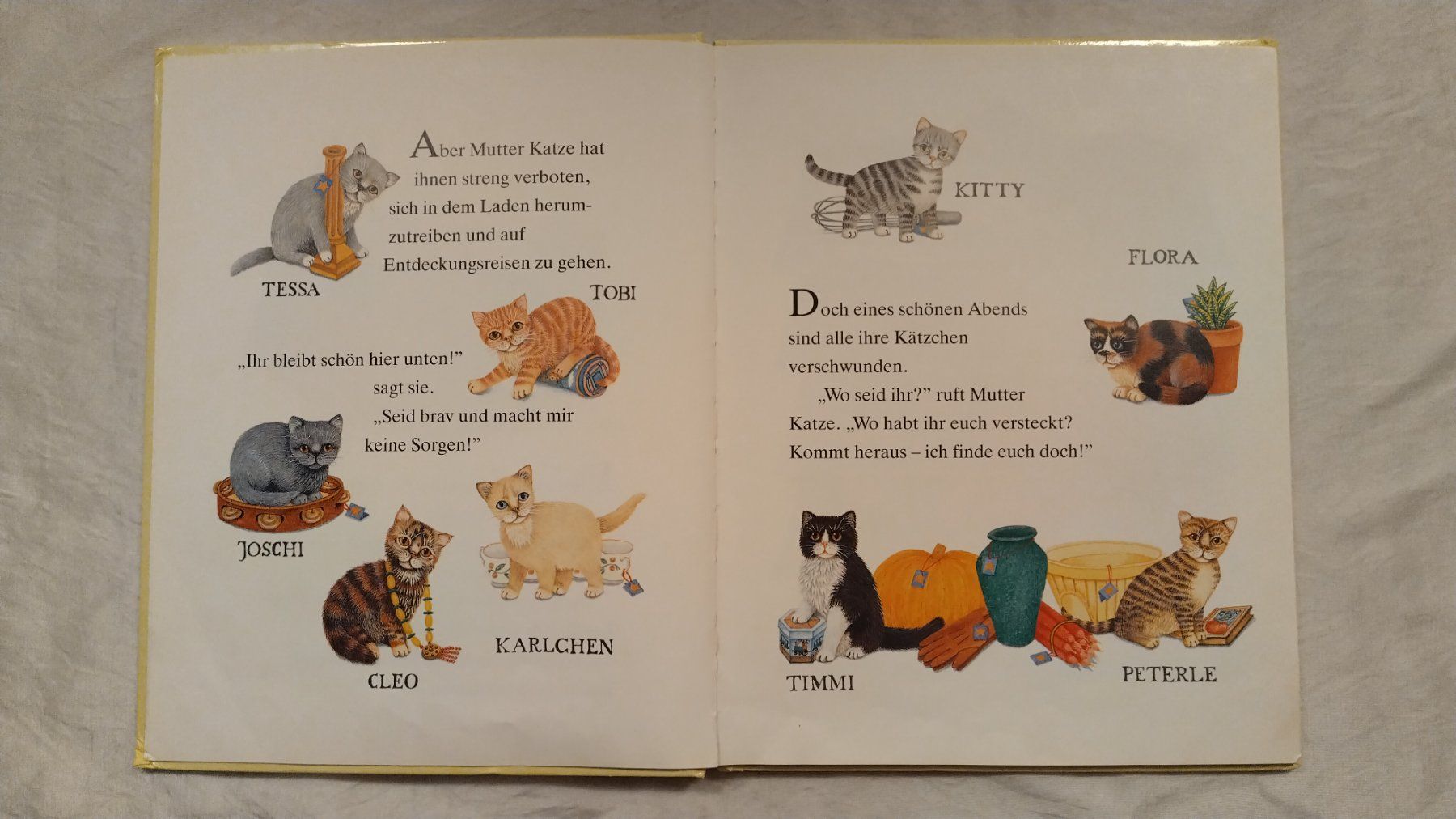 Alle meine Kätzchen - Katzen Such-Bilderbuch 1991 ab Fr. 6.- (Gebraucht ...
