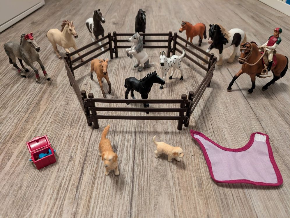 Schleich Set - 13 teilig inkl. Zubehör (Gebraucht) in Aarberg für CHF ...
