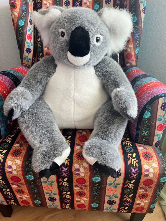 Mega Koala Plüsch Neu | Kaufen auf Ricardo