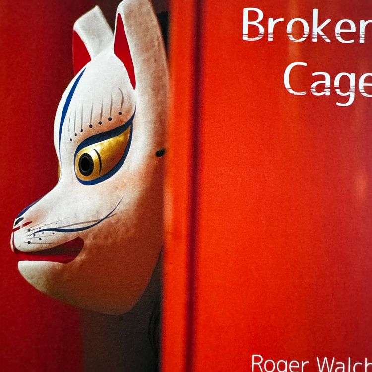 Roger Walch – Broken Cage (CD) 2016 Switzerland/Japan - rar (Gebraucht ...