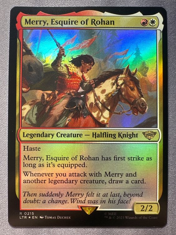 Merry, Esquire of Rohan FOIL 0215 Lord of the Rings (Neu (gemäss ...