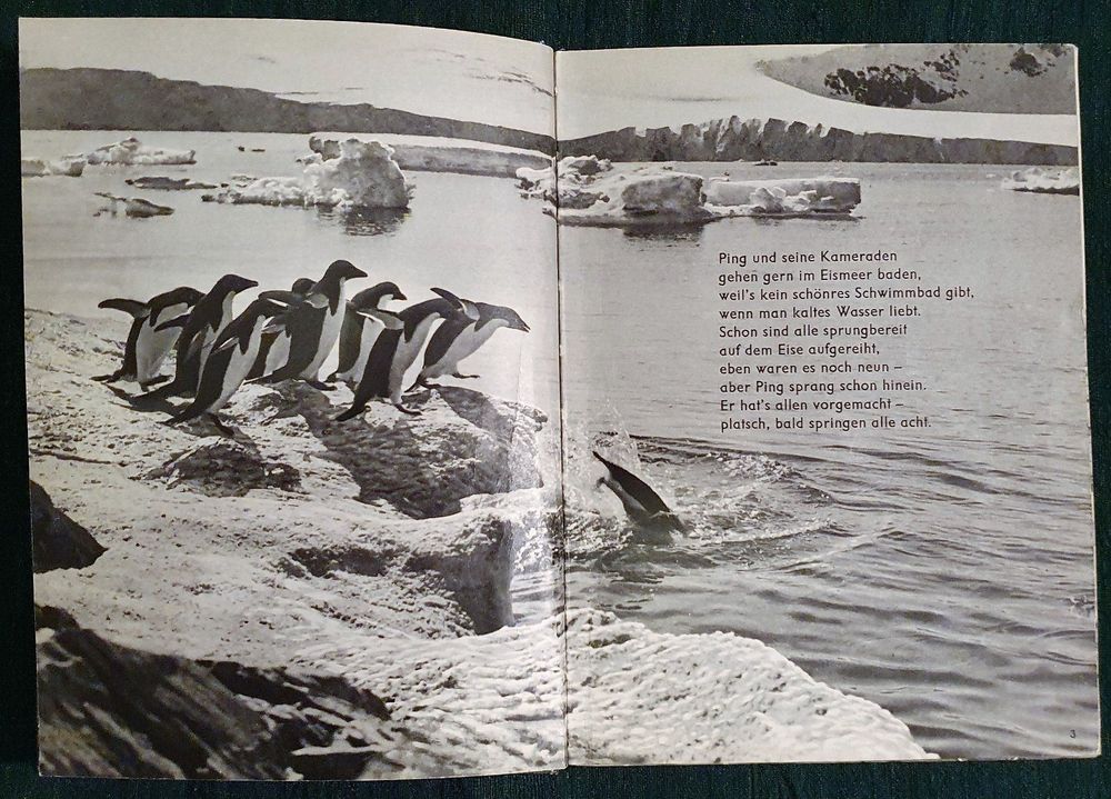 PING und PONG die lustigen Pinguine | Kaufen auf Ricardo