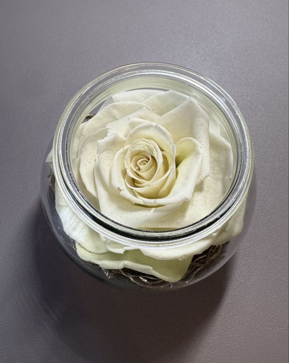 Ewige Rosen Im Glas