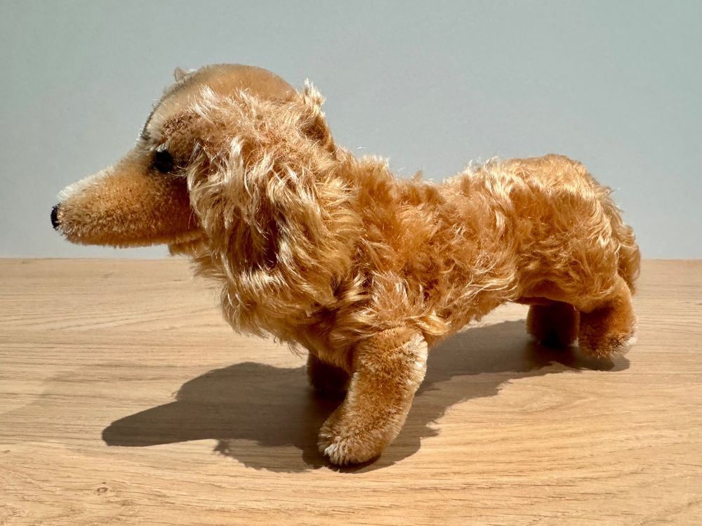 Niedlicher Steiff Dackel Waldi 4140/17 sucht neues Zuhause! (Gebraucht ...