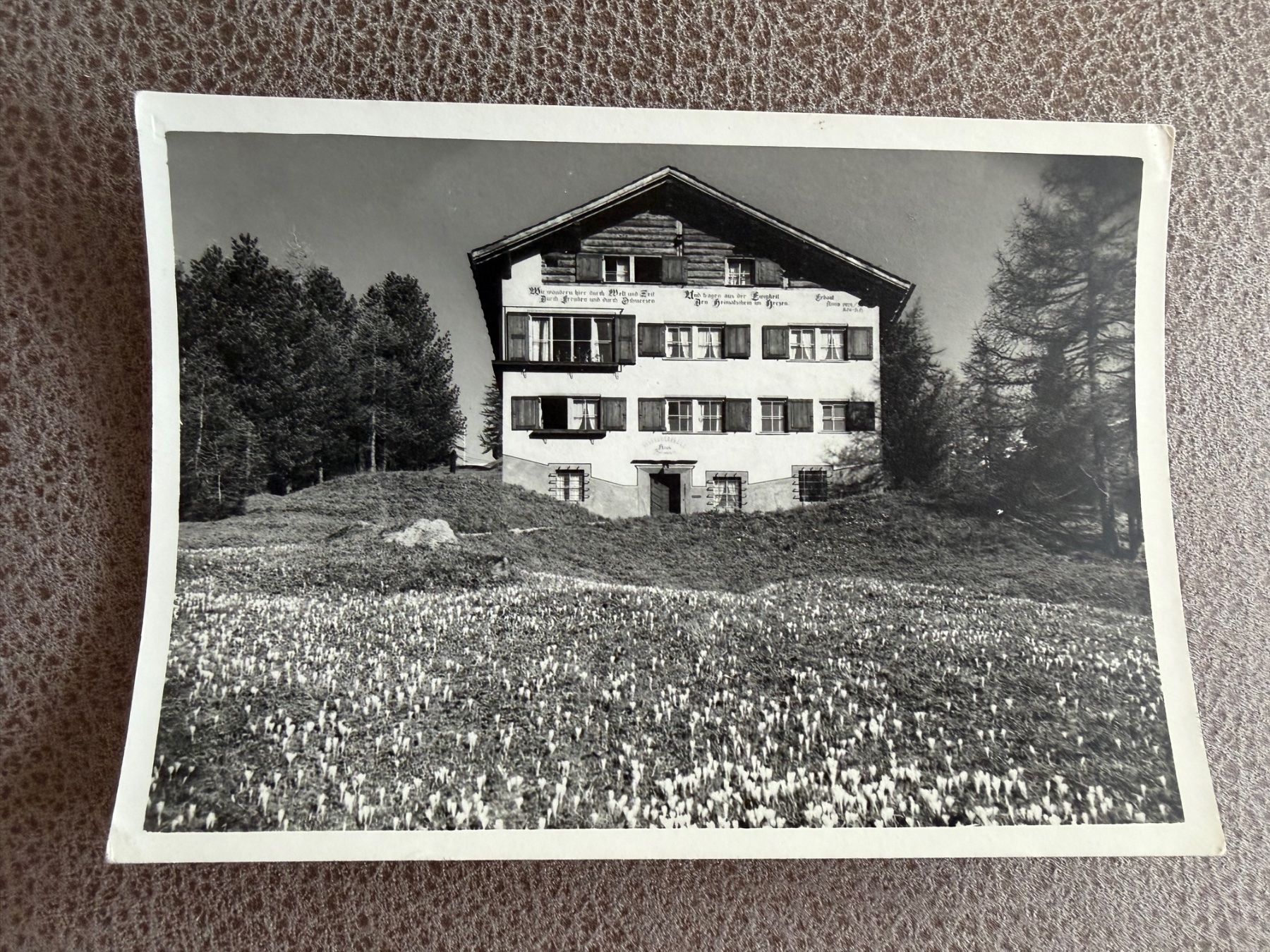 Wohnhaus von Albert Steiner St. Moritz, Original signiert (Gebraucht ...