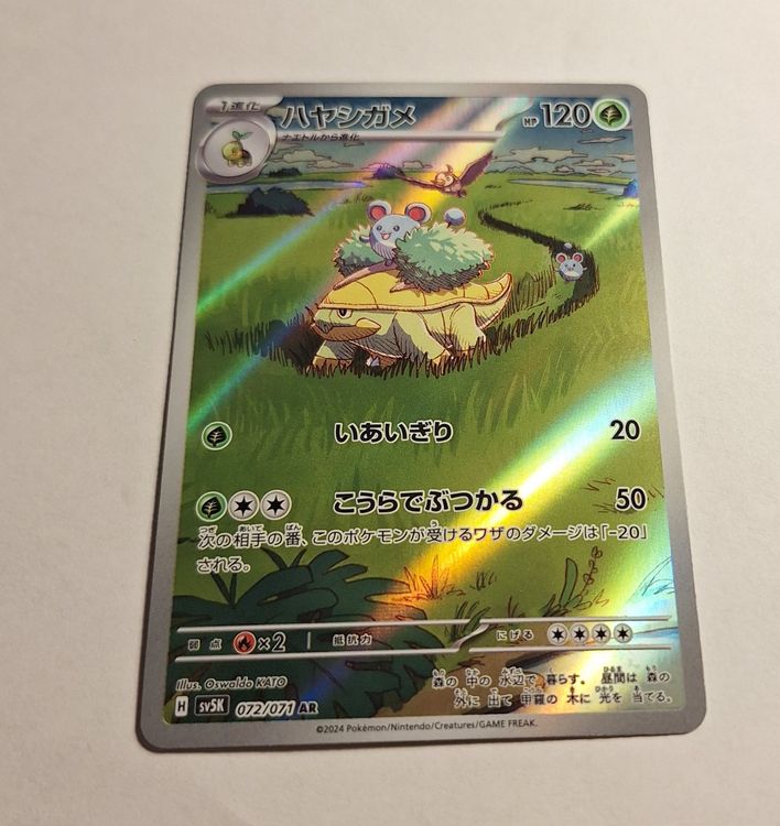Grotle 072/071 SV5K AR Wild Force Japanese Pokemon (Gebraucht) in ...