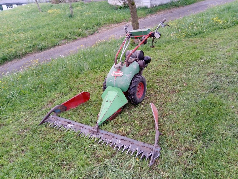 Rapid Rex Motrmäher (Gebraucht) in Bazenheid für CHF 700 – mit Lieferung auf Ricardo kaufen