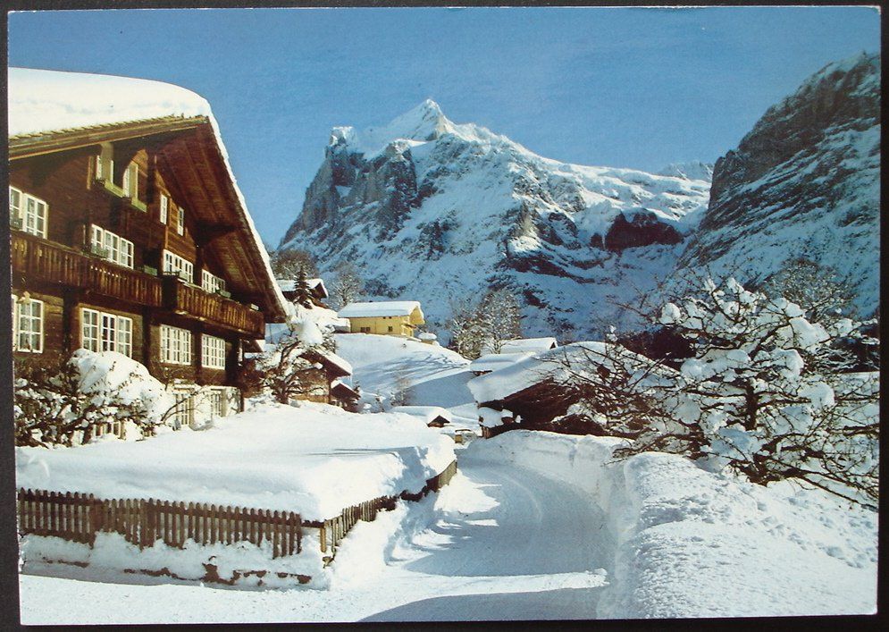 GRINDELWALD | Kaufen auf Ricardo