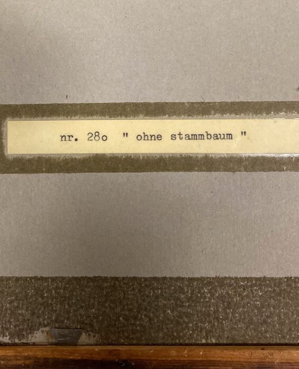 Zeichnung, ohne Stammbaum, signiert Ernst Kopp (ID 7182) (Gebraucht) in Gelterfingen für CHF 100 ...