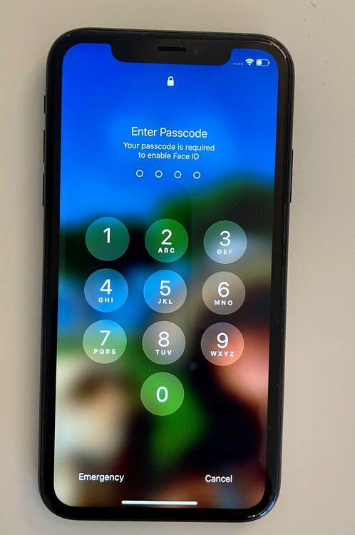 iPhone XR 128 GB | Kaufen auf Ricardo