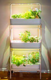 click and grow smart garden 27 (Gebraucht) in Riehen für CHF 222 – nur ...