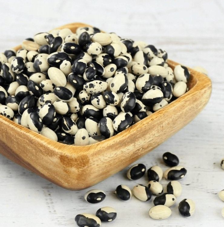 Yin Yang Bohne ( Calypso, Orca Bohne) / 5 Samen (Neu (gemäss ...