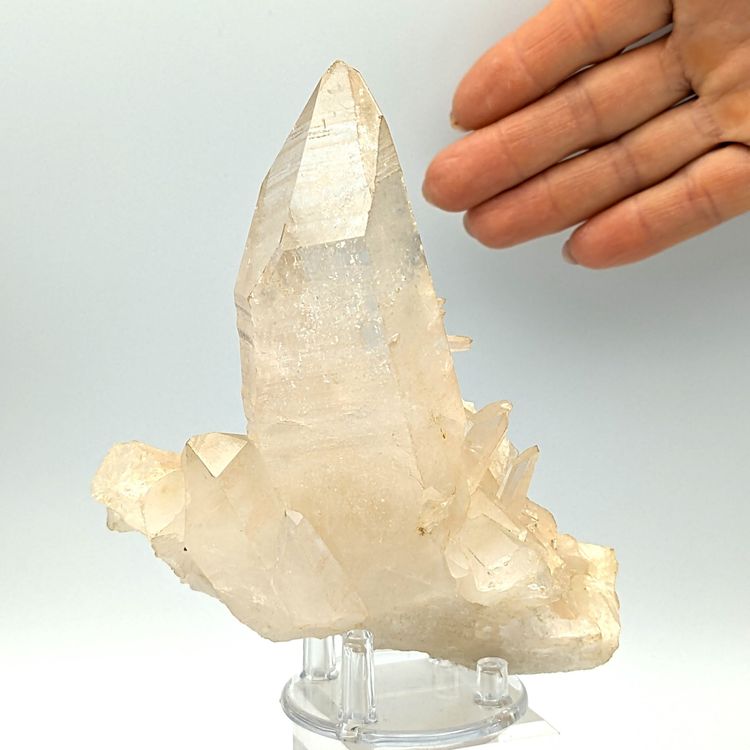 Großer QUARZ DELPHIN, leicht ROSA, Madagaskar - TOP (Neu (gemäss Beschreibung)) in Balerna für ...