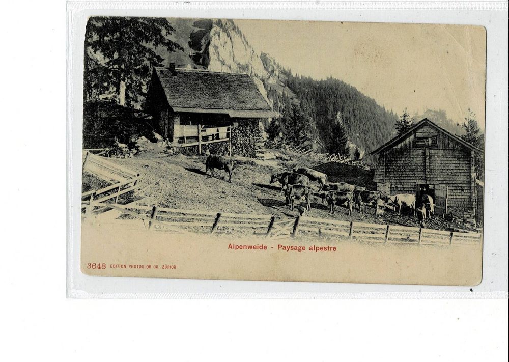 Alpenweide EMSIGEN am Pilatus Alpnach OW vor 1905! (Neu (gemäss ...