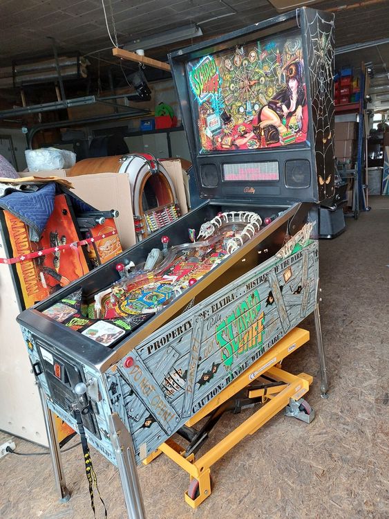 Flipper Scared Stiff (Gebraucht) in Schalunen für CHF 5002 – nur ...