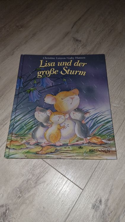 Lisa und der grosse Sturm - Kinderbuch | Kaufen auf Ricardo