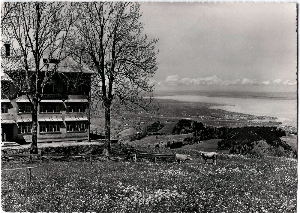 Gasthaus zum Gupf, Rehetobel (Gebraucht) in Arbon für CHF 4 – mit Lieferung auf Ricardo kaufen
