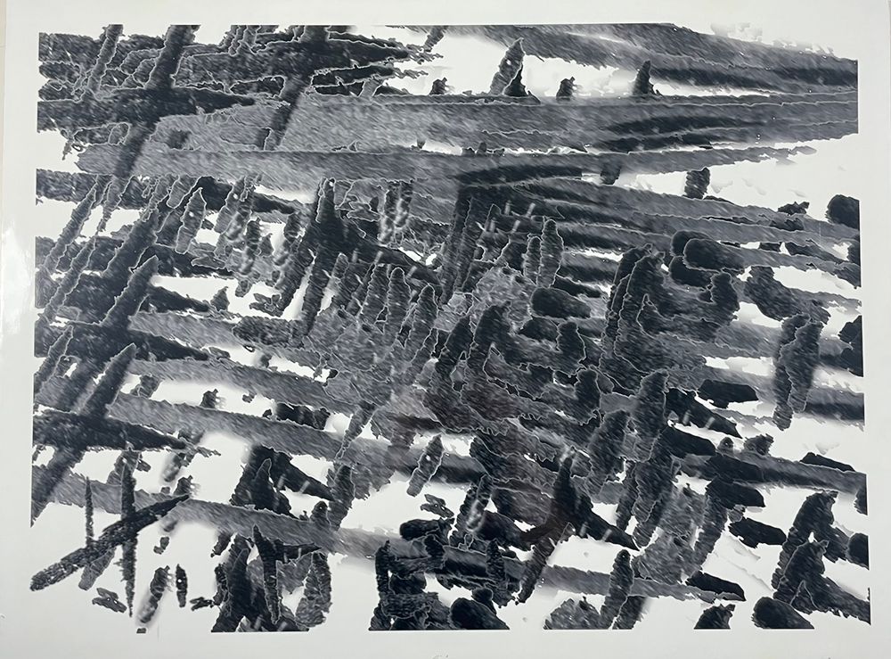 Abstrakte grosse Fotografie unleserlich Signiert (Gebraucht) in Root für CHF 30 – mit Lieferung ...