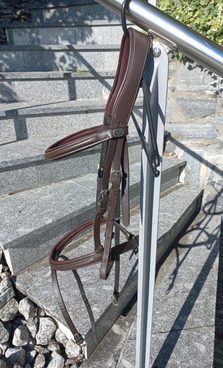 Dy'on Zaum, Halfter , Zaumzeug Pferd, Fast neu | Kaufen auf Ricardo