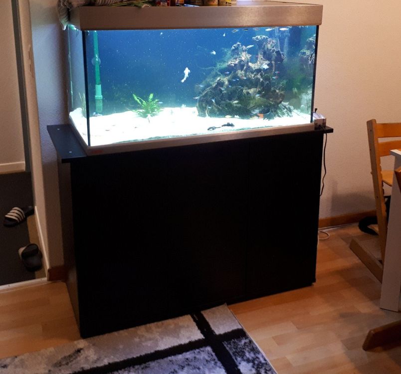 Sehr schönes leeres EHEIM 250l Aquarium (Gebraucht) in Dettighofen für CHF 130 – mit Lieferung ...