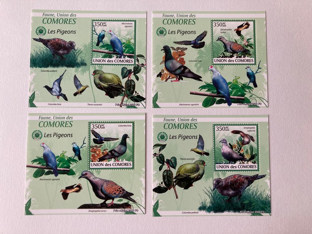 Komoren oiseaux Vögel Birds LES PIGEONS TAUBEN 4 x BLOCK** | Kaufen auf Ricardo