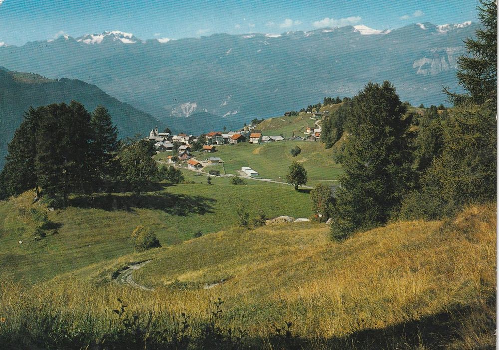 5 Karten Feldis (Gebraucht) in Lumbrein für CHF 5 – mit Lieferung auf ...