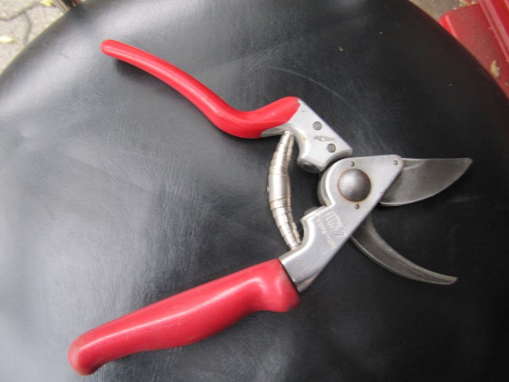 Felco 7 Gartenschere / Rosenschere | Kaufen auf Ricardo
