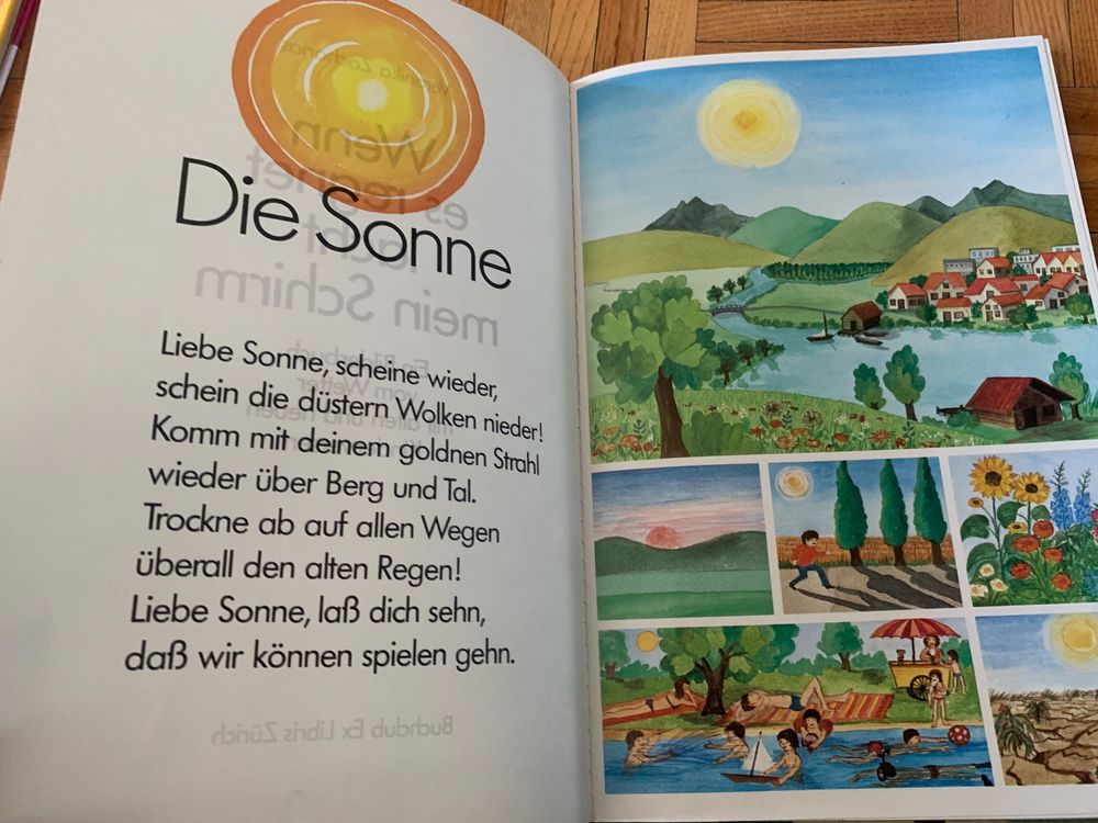 Wenn es regnet,lach mein Schirm Veronika Zacharias (Gebraucht) in Uster ...