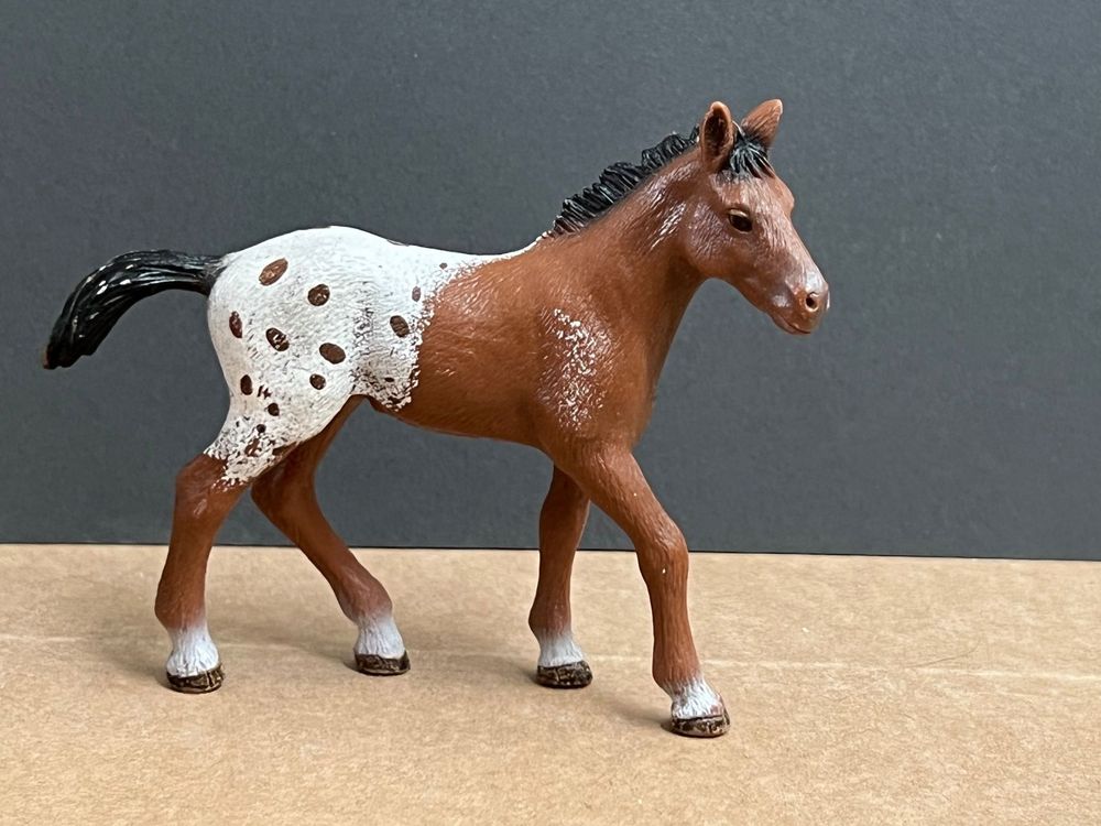 Schleich Appaloosa Fohlen Pferd (Gebraucht) in Ennetbaden für CHF 8 – mit Lieferung auf Ricardo ...
