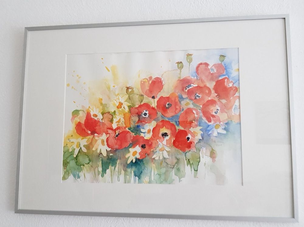 Mohnblumen und Margeriten | Kaufen auf Ricardo