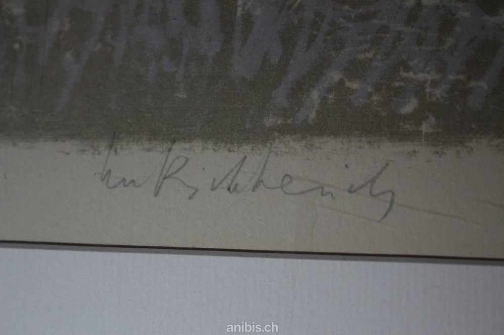 sign. Lithografie von Marco Richterich inkl. Rahmen (Neu (gemäss Beschreibung)) in Zürich für ...