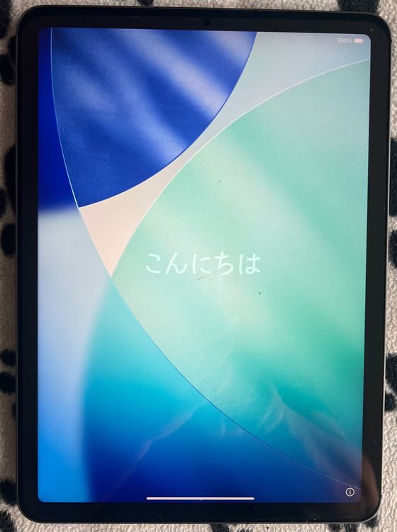 iPad Air (5th Generation), Wi-Fi + Cellular, 64GB (Gebraucht) in ...