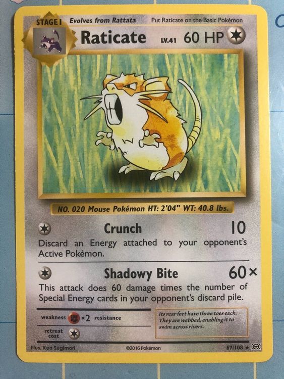 Raticate (XY Evolutions, Rare) | Kaufen auf Ricardo