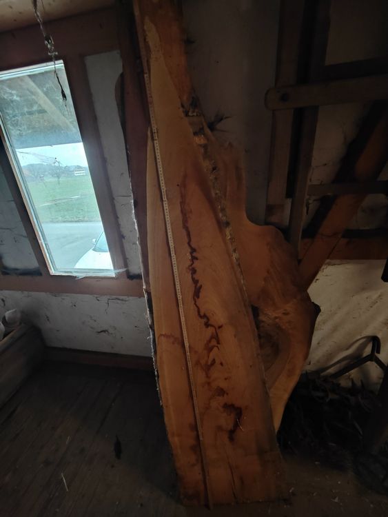 Kirschbaum Brett (Neu (gemäss Beschreibung)) in Amsoldingen für CHF 35 ...