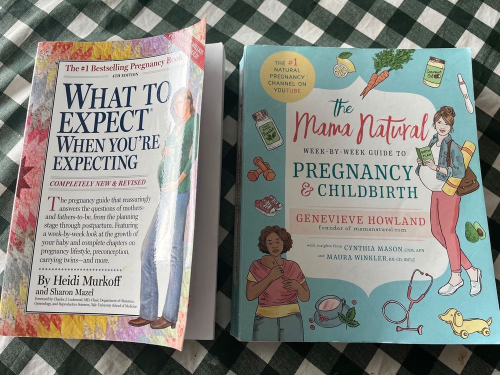2 pregnancy books in english | Kaufen auf Ricardo