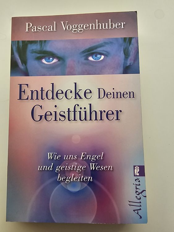 Entdecke Deinen Geistführer - Pascal Voggenhuber (Gebraucht) in Ilanz für CHF 3.5 – mit ...