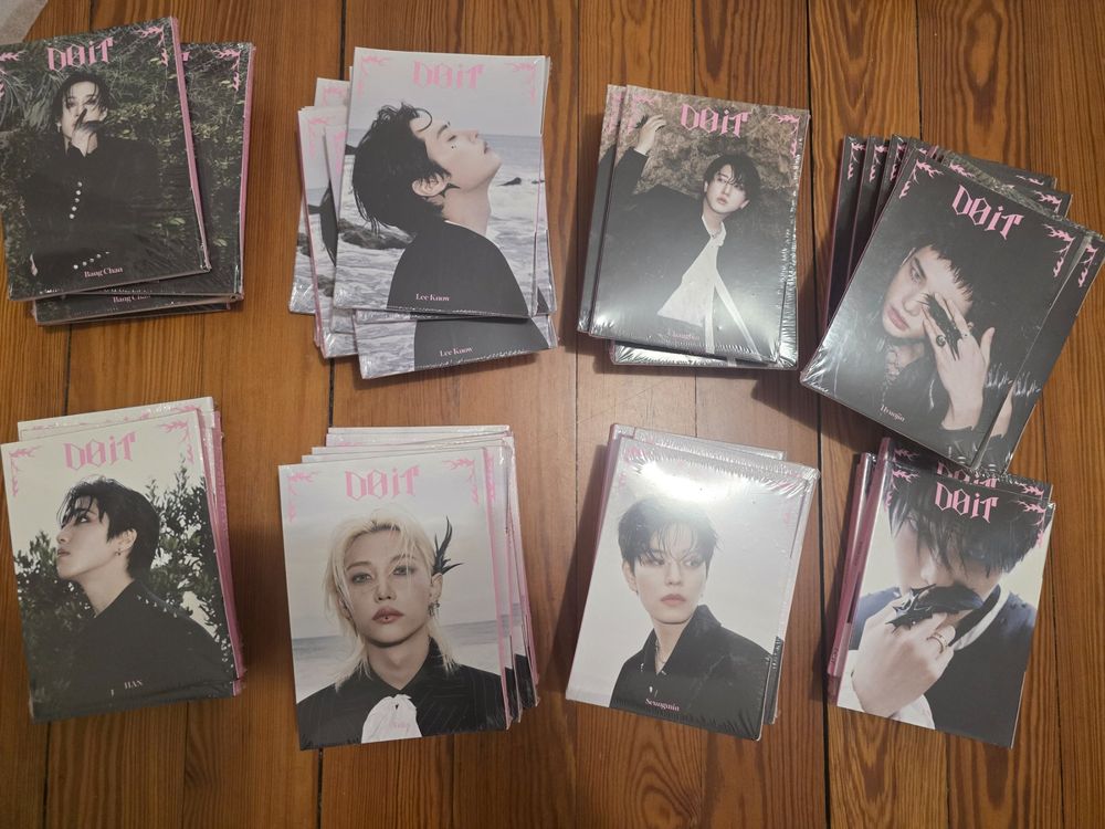 Stray Kids - DO IT - Album Scellé - K-Pop - Nouveau! (Neu und ...