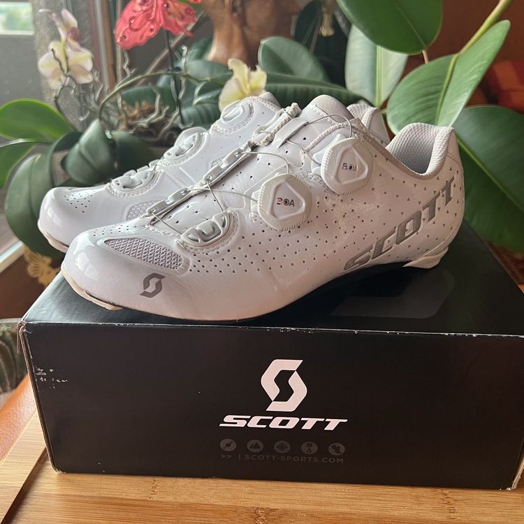Scott Road RC Lady BOA Veloschuhe Gr. 37 (Neu und originalverpackt) in Tafers für CHF 70 – mit ...