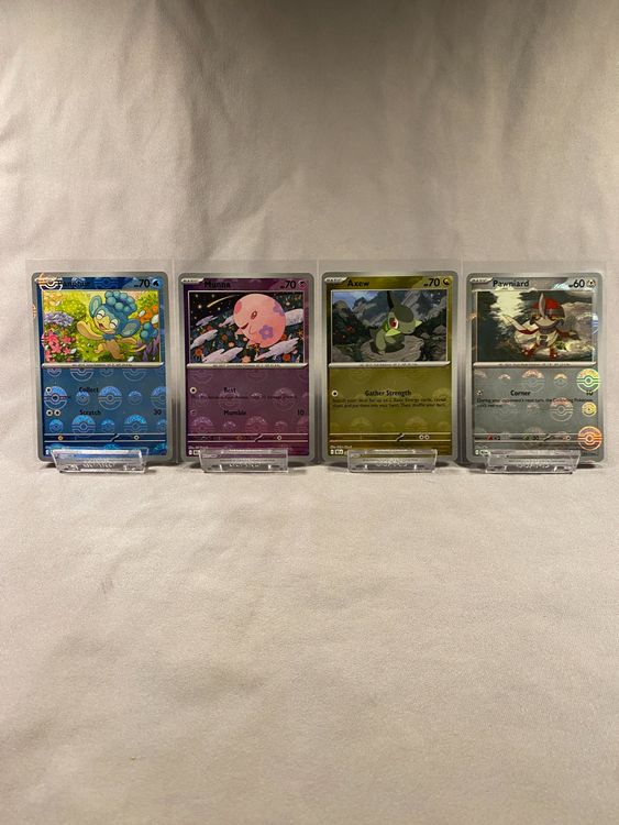 Pokémon / Poke Ball Foil Holo / Black Bolt / EN / Axew etc. (Neu ...