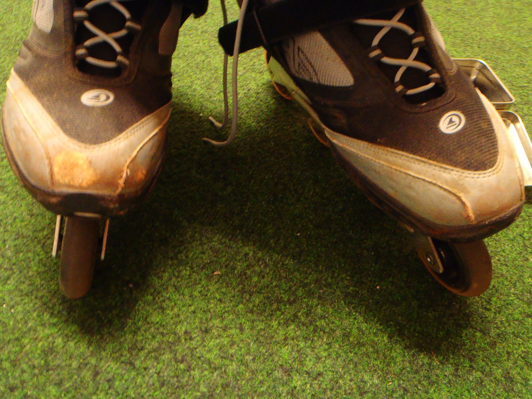 Rollerblade Inline Skates, Gr. 47.5 (Gebraucht) in Wynigen für CHF 1 ...