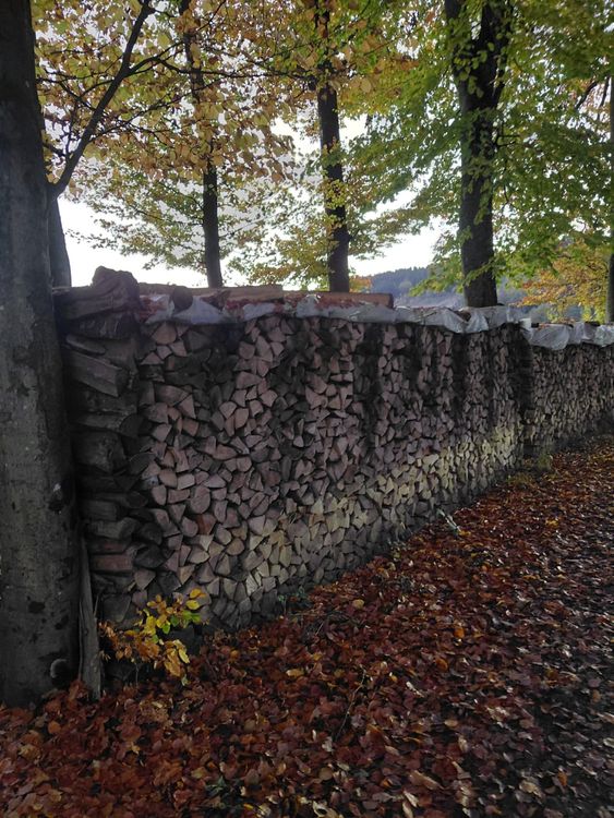 Brennholz Esche/Buche (Gebraucht) in Inwil für CHF 110 – nur Abholung ...