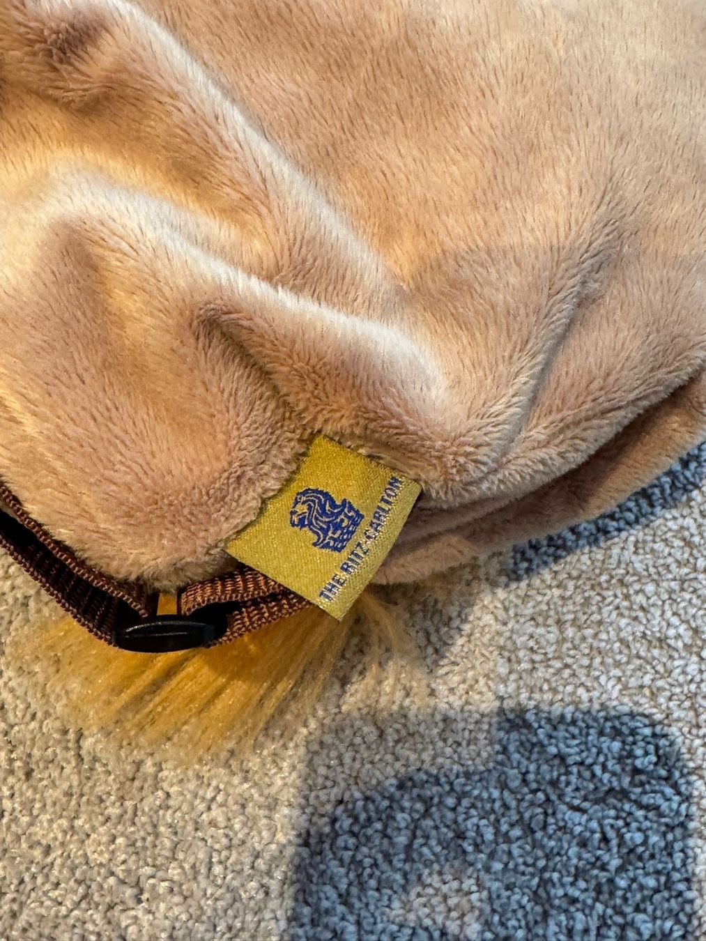 Ritz Carlton Kinder Rucksack Top Zustand! (Gebraucht) in Meilen für CHF ...