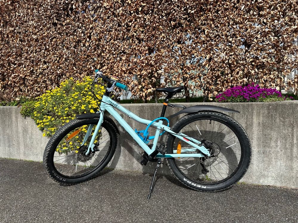 SCOTT CONTESSA 24", Scheibenbremsen, Schutzblech, Ständer | Kaufen auf ...