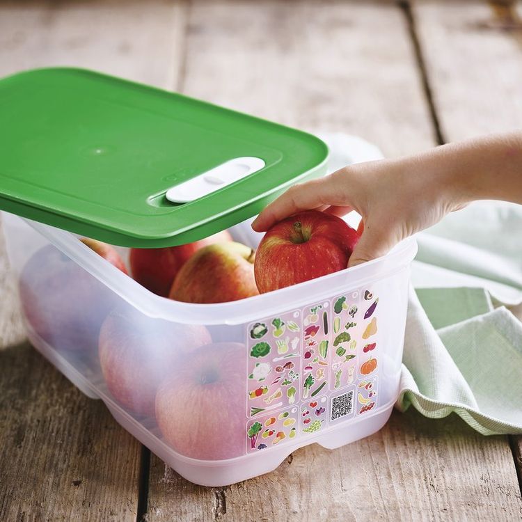 VentSmart Tupperware | Kaufen auf Ricardo