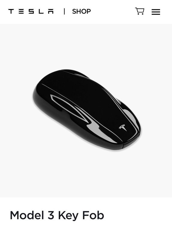 Tesla Model 3 Key Fob | Kaufen auf Ricardo